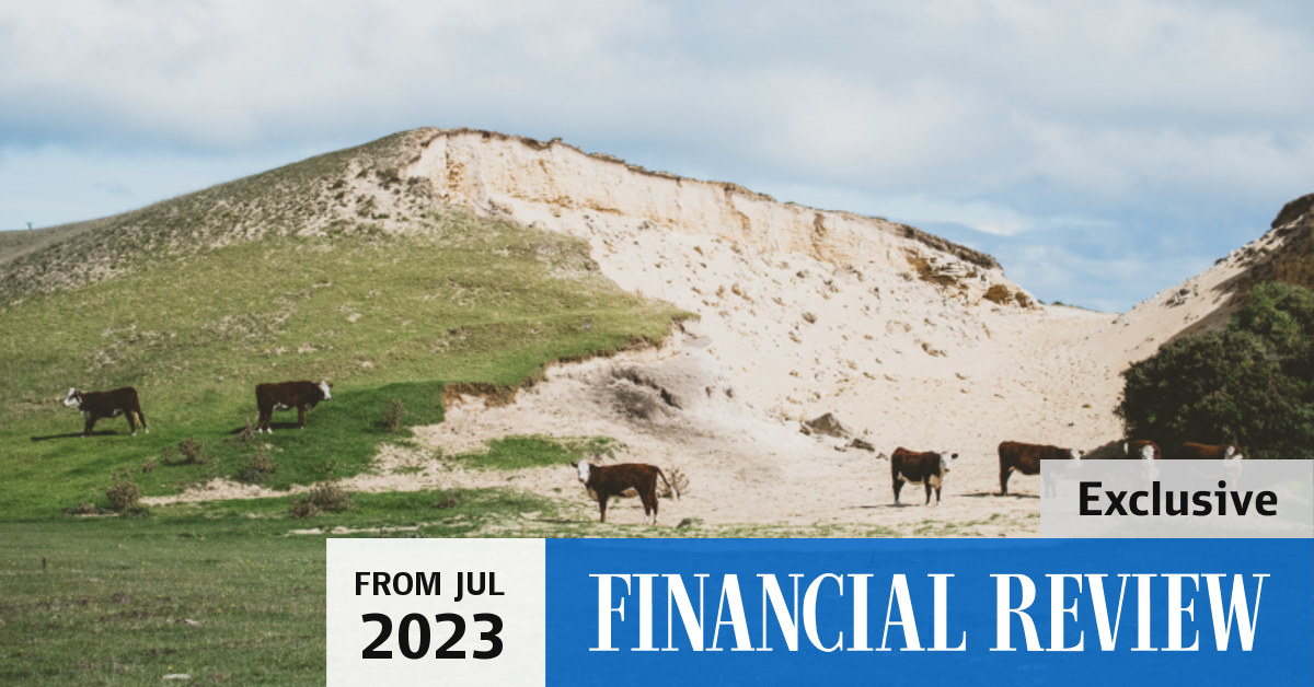 Billionaire Peter Gunn’s PGA Group offloads King Island cattle farm “Reedy” to Crouch family